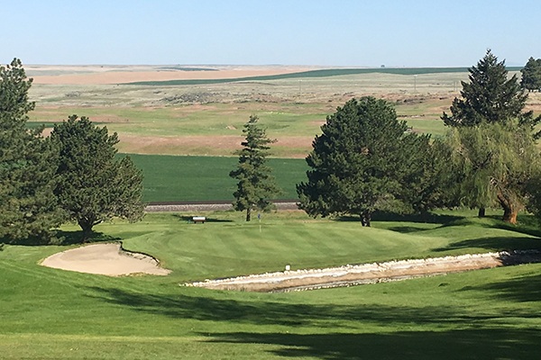 Hometown heroes created Harrington G&CC - Washington Golf (WA Golf)