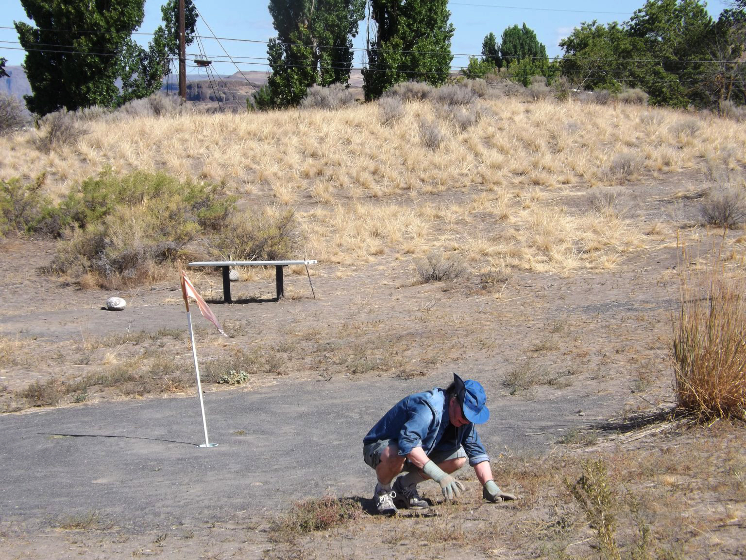 Hitting from the Rough (and happily so): Beloved by the community, Lava ...